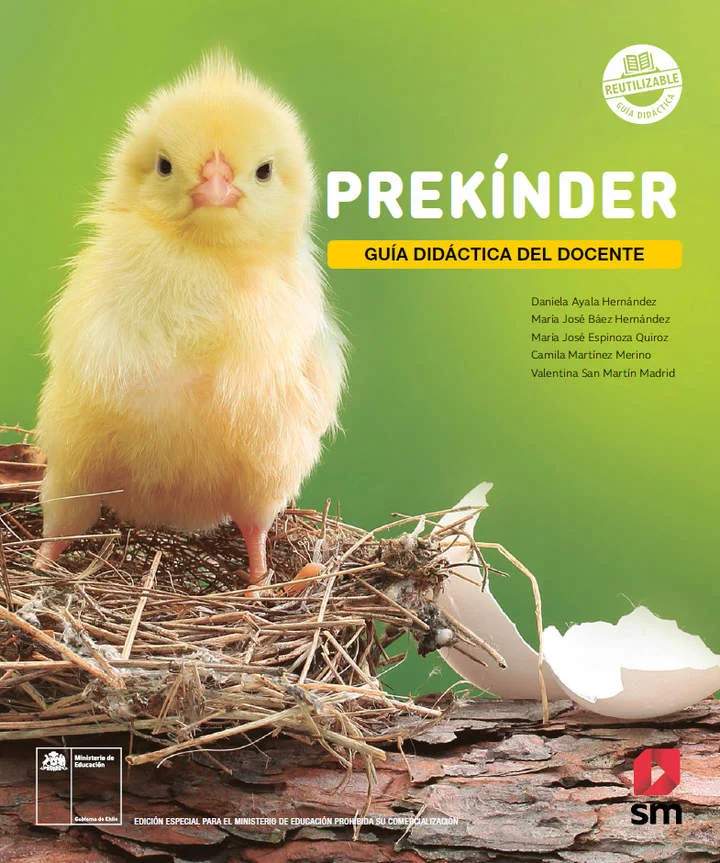 Libro de Prekínder en PDF 2025 - Curriculum Nacional