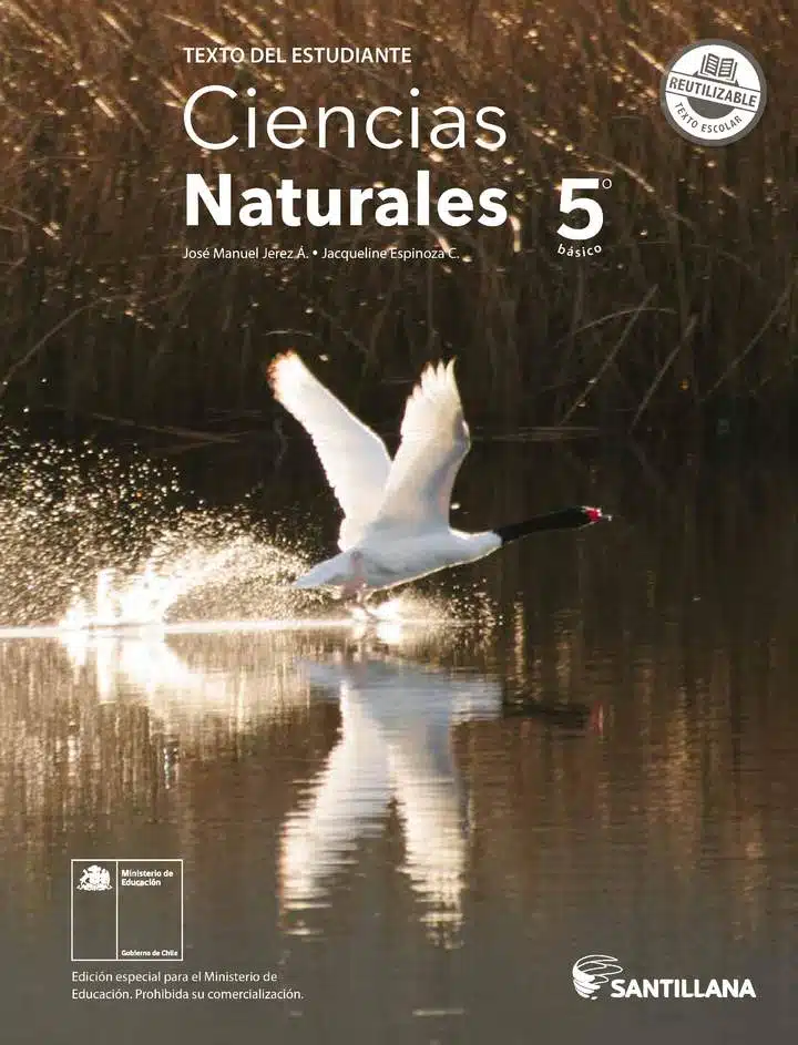 Libro de Ciencias Naturales 5° Básico en PDF – 2025 Oficia