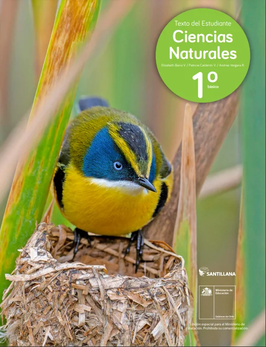 Libro de Ciencias Naturales 1º Básico PDF 2025 | Descarga Gratis