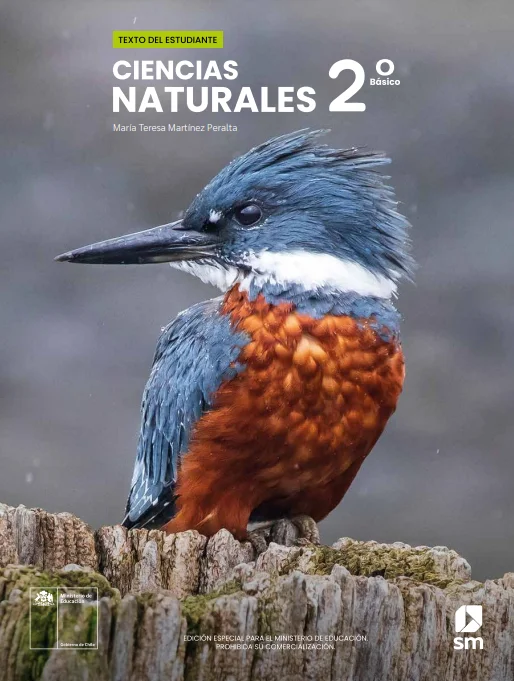 Libro de Ciencias Naturales 2 Básico en pdf 2025 - Mineduc