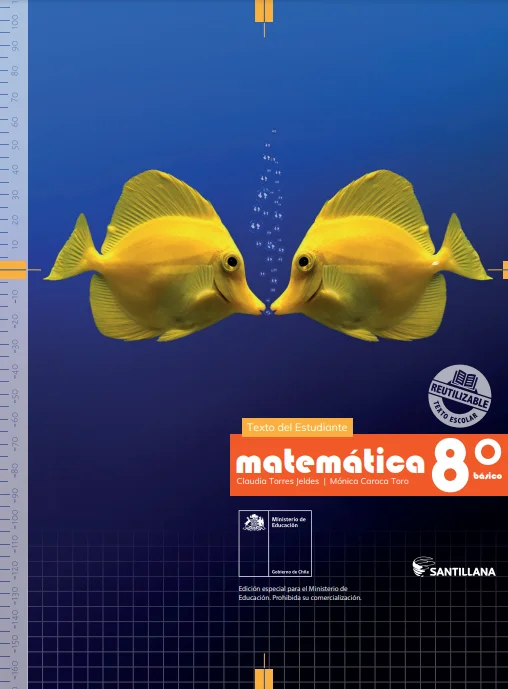 Libro de Matemáticas 8° Básico en PDF – 2024 Oficial Mineduc